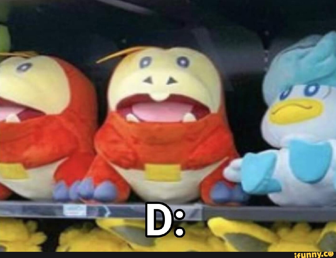 Quaxly memes. Best Collection of funny Quaxly pictures on iFunny