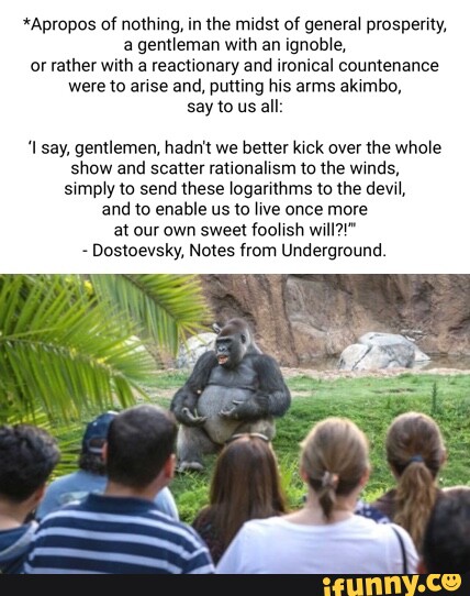 Akimbo memes. Best Collection of funny Akimbo pictures on iFunny