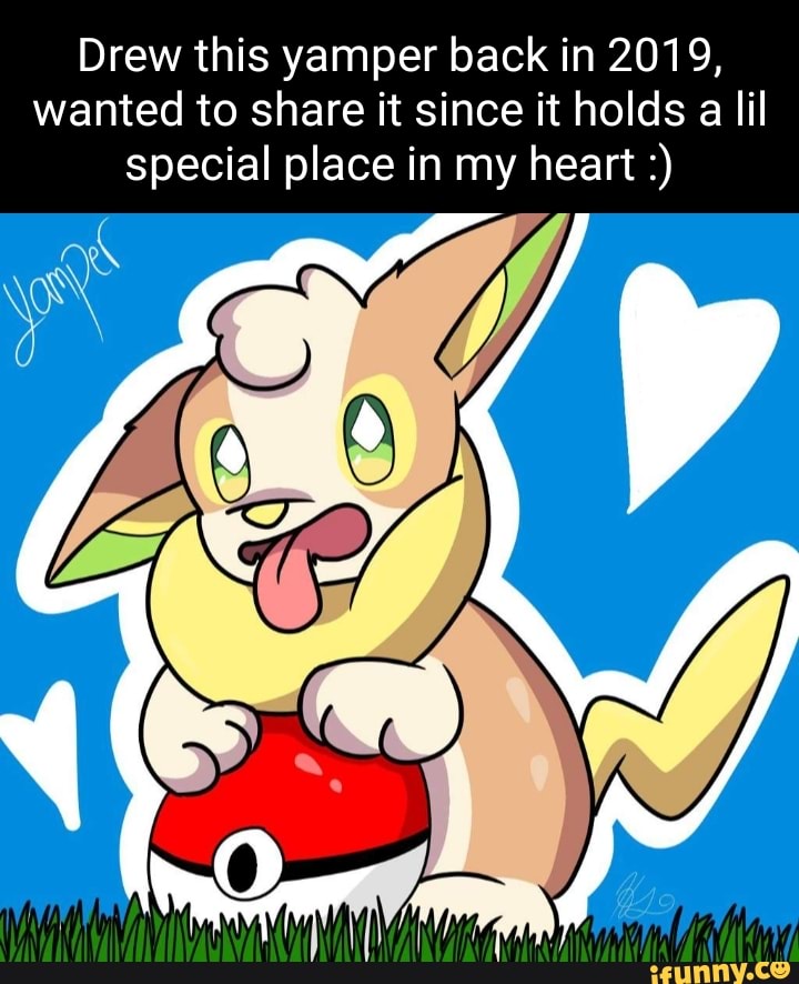 Yamper memes. Best Collection of funny Yamper pictures on iFunny