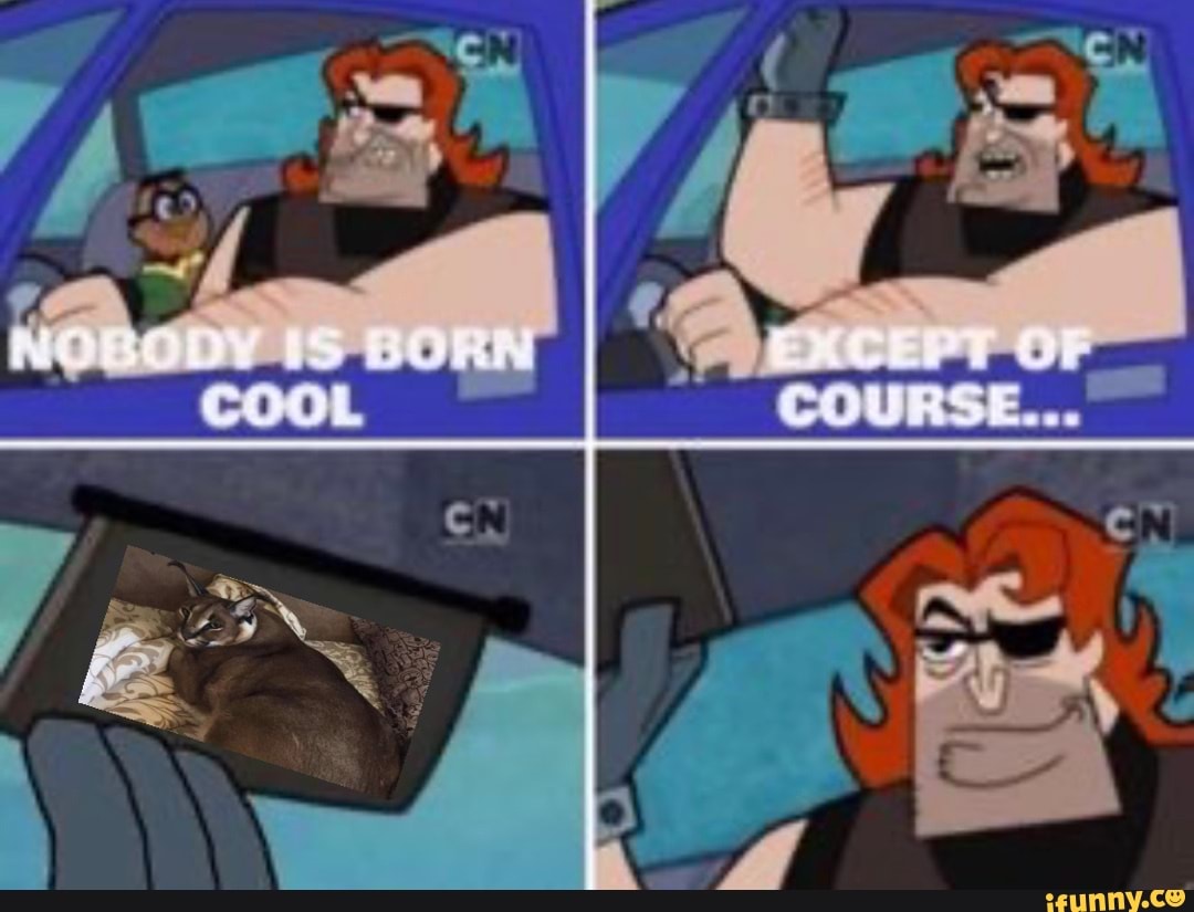 Plinka memes. Best Collection of funny Plinka pictures on iFunny