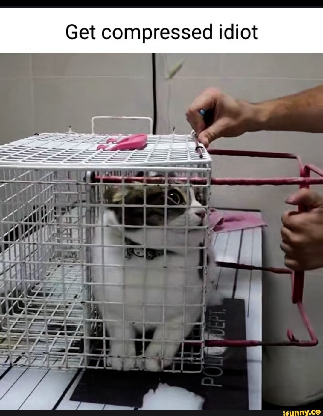 Compressed memes. Best Collection of funny Compressed pictures on iFunny