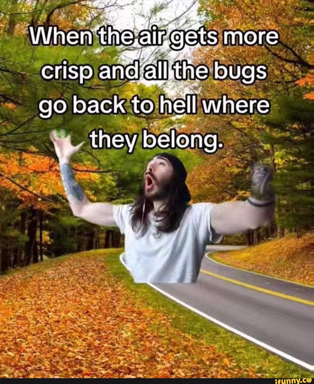 When ail, {gets more crisp and the: bugs go back to hell where they ...