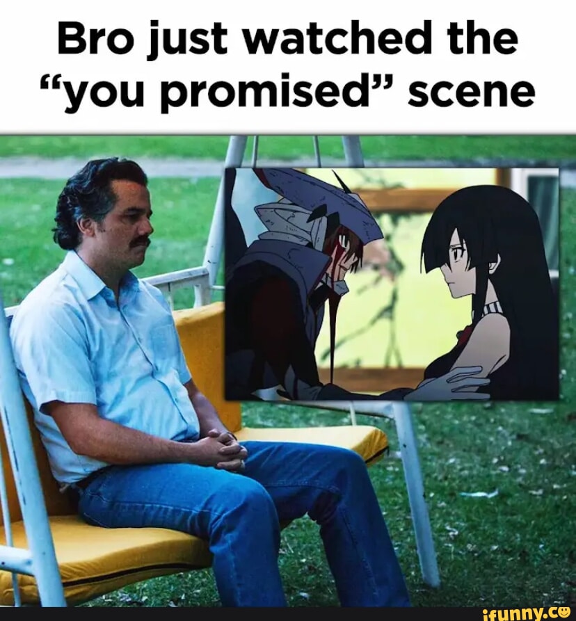 Akame Ga Kill Memes