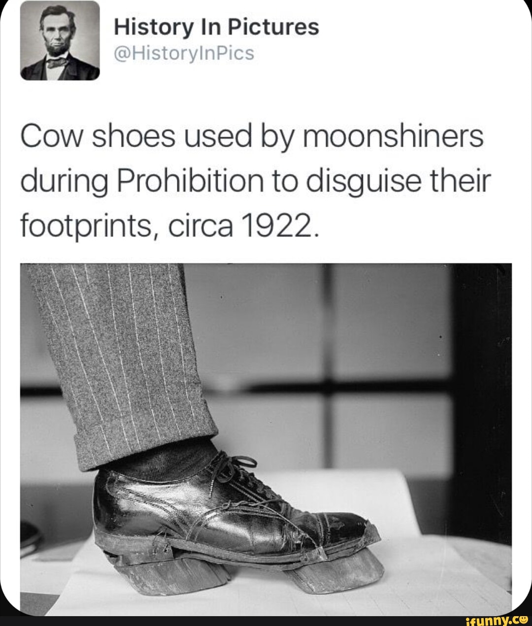 Prohibition memes. Best Collection of funny Prohibition pictures on iFunny