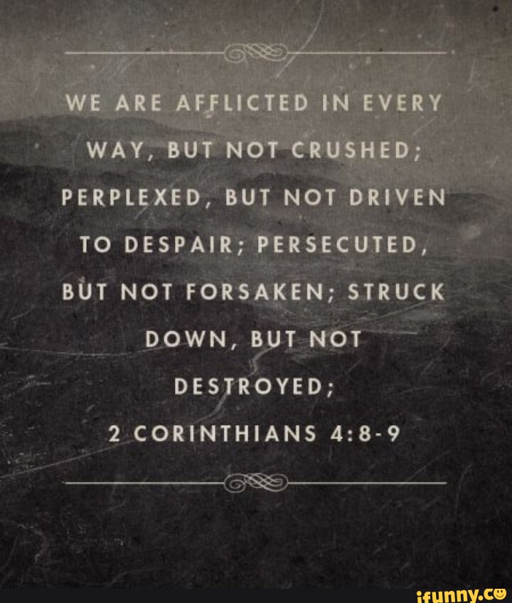 Perplexed memes. Best Collection of funny Perplexed pictures on iFunny