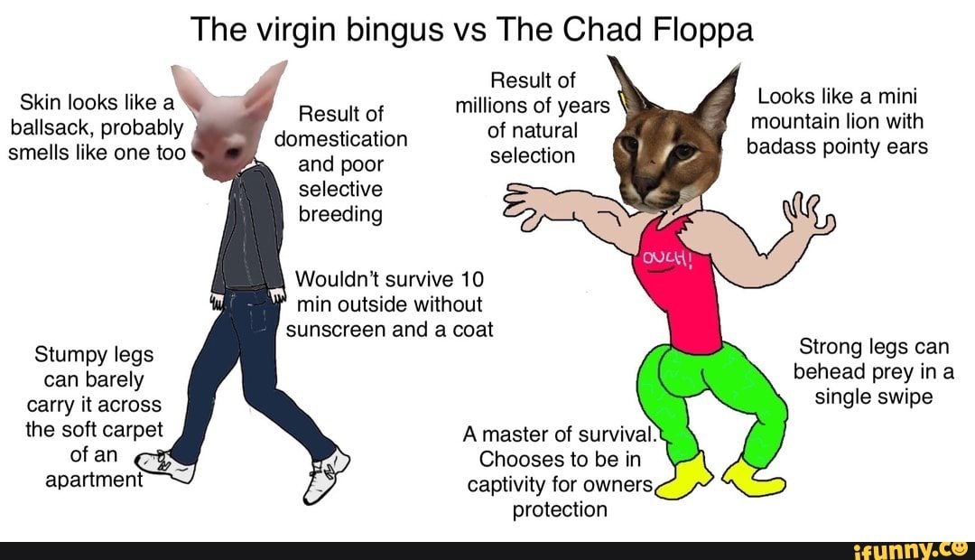 The virgin bingus vs The Chad Floppa Result of Skin looks like a Result ...
