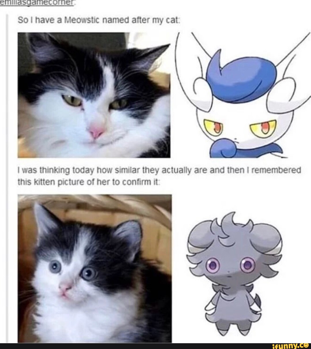 Sle Ollie: So I have a Meowstic named after my cat I was thinking today ...