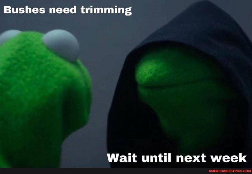 Todays meme sent in from @landscapesbymew #lawncarememes - Bushes need ...