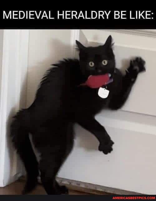 MEDIEVAL HERALDRY BE LIKE: - America’s best pics and videos
