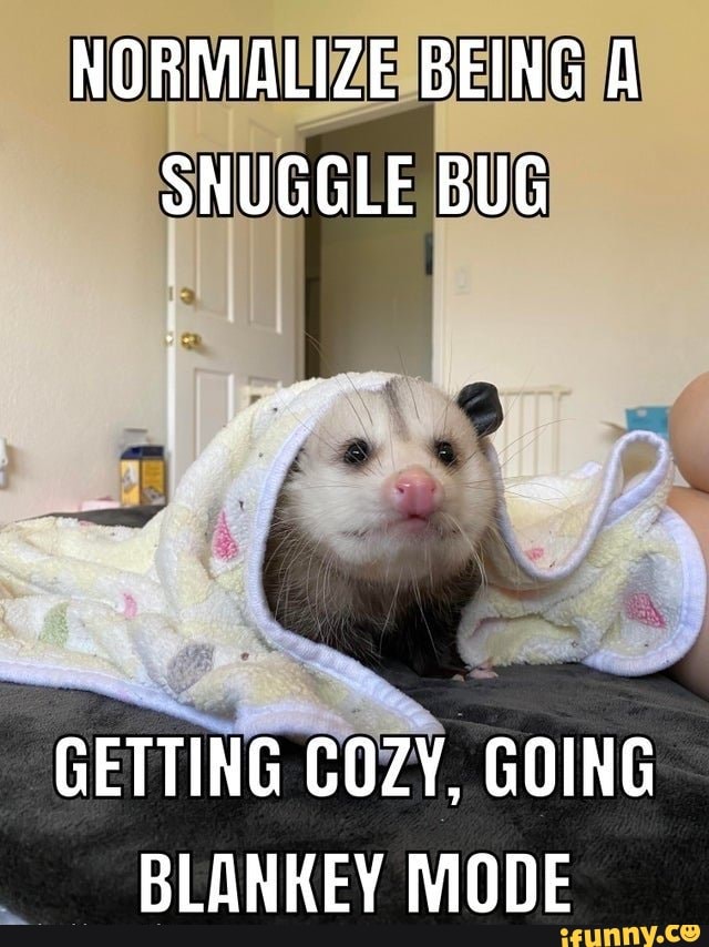 NORMALIZE BEING A SNUGGLE BUG GETTING COZY, GOING BLANKEY MODE - iFunny
