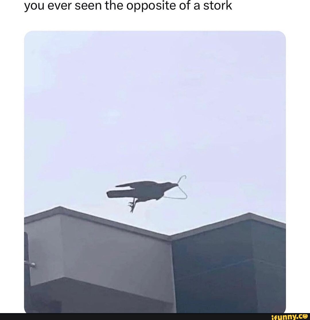 You ever seen the Opposite or stork - iFunny