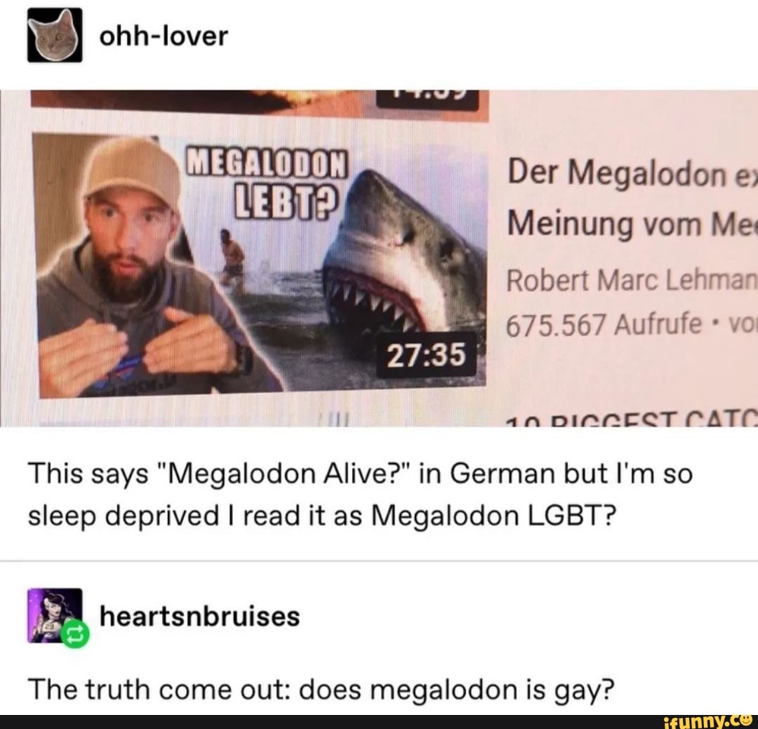 Megalodon memes. Best Collection of funny Megalodon pictures on iFunny