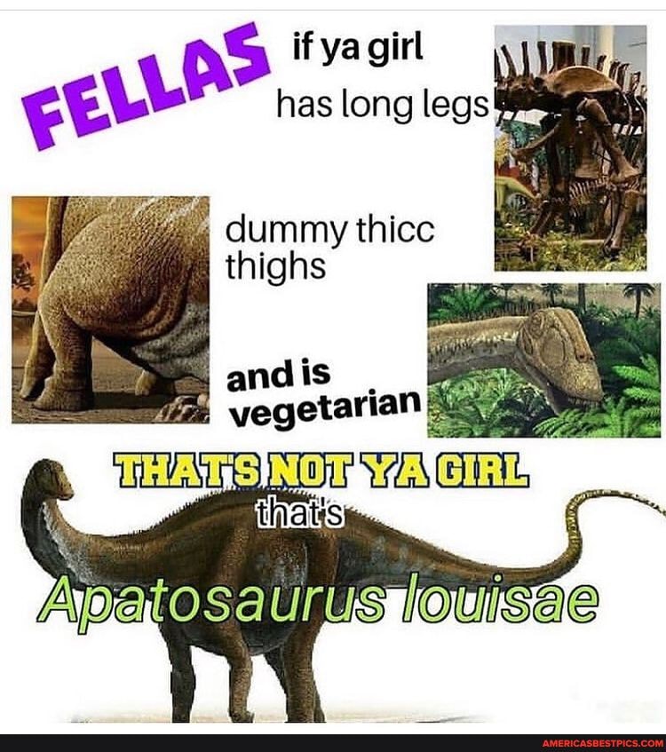 If ya girl has long legs dummy thicc thighs is - America’s best pics ...