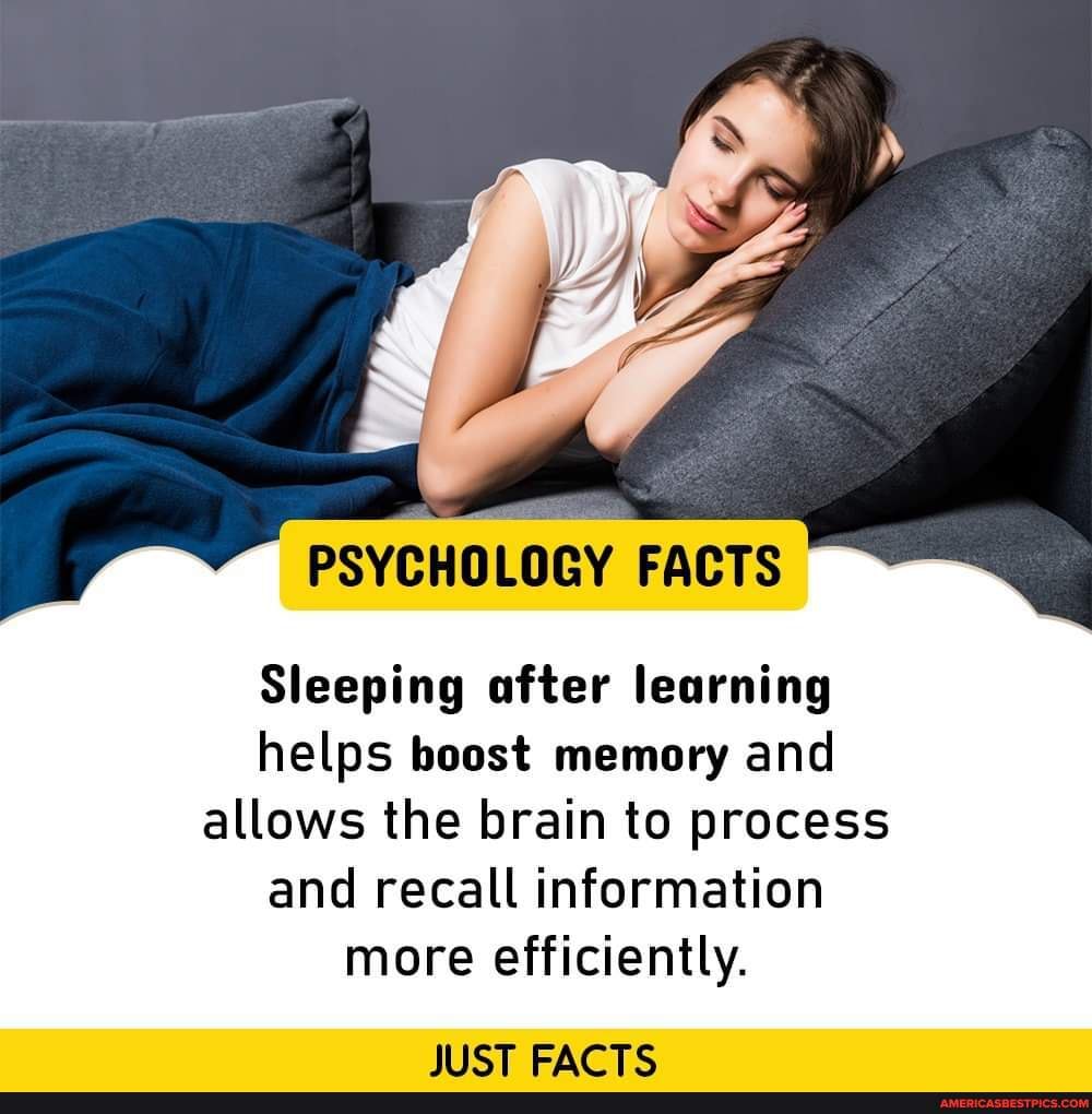 PSYCHOLOGY FACTS Sleeping after learning helps boost memory and allows ...