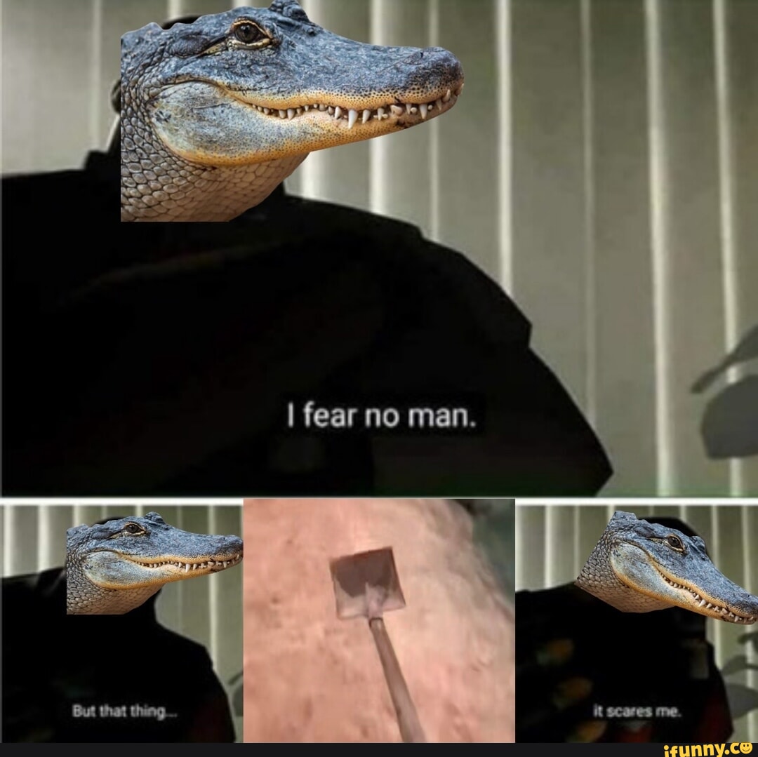 Funny Gators Memes