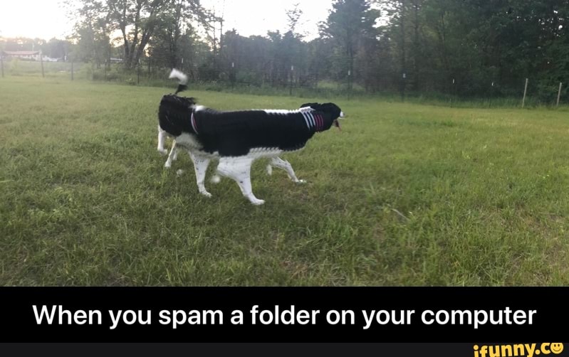 When you spam a folder on your computer - When you spam a folder on ...