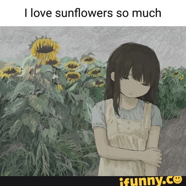 Sunflowers memes. Best Collection of funny Sunflowers pictures on iFunny