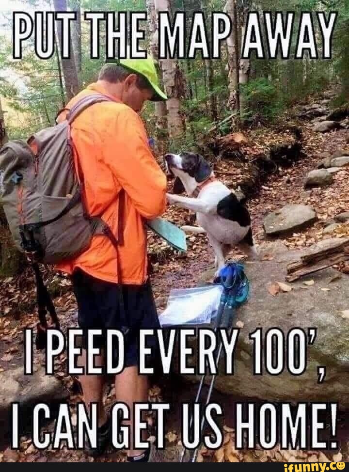 Ipeed memes. Best Collection of funny Ipeed pictures on iFunny