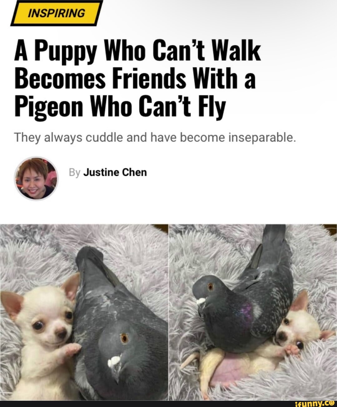 Amorous, Paraphore, Trails in Tainted Space, just a few amazing furry ...