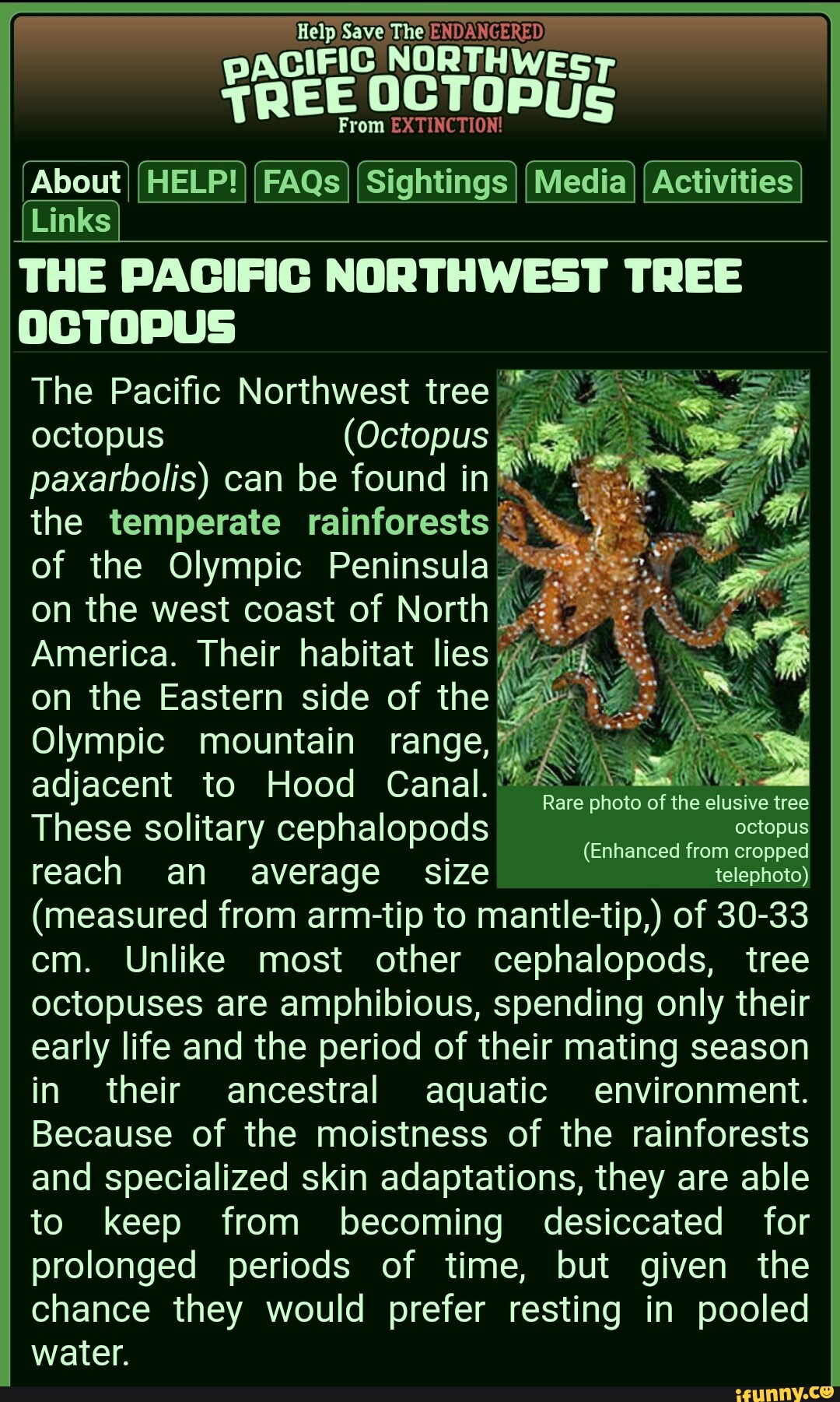 Help/ Save The ENDANGERED) ACIFIC 'About HELP! {FAQs I /Sightings I ...