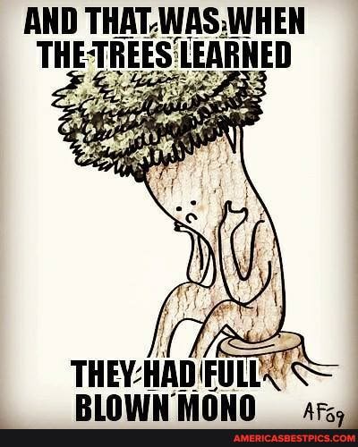 #trees #fullblownmono #mono #maniacal #memes #meme #silly #goofy #crazy ...