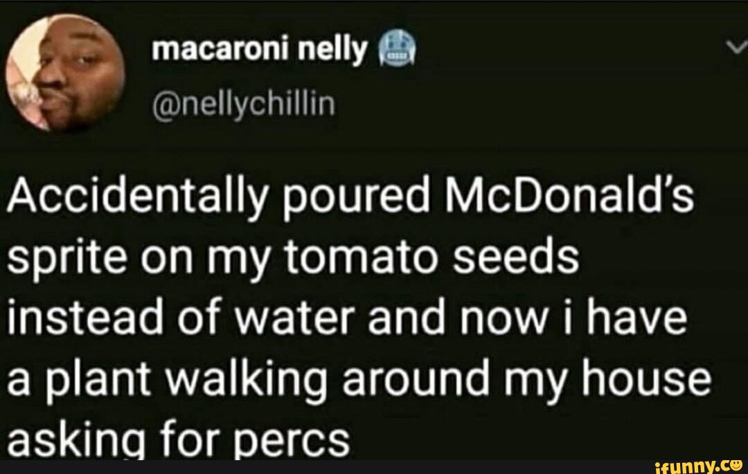 Macaroni nelly Accidentally poured McDonald's sprite on my tomato seeds ...