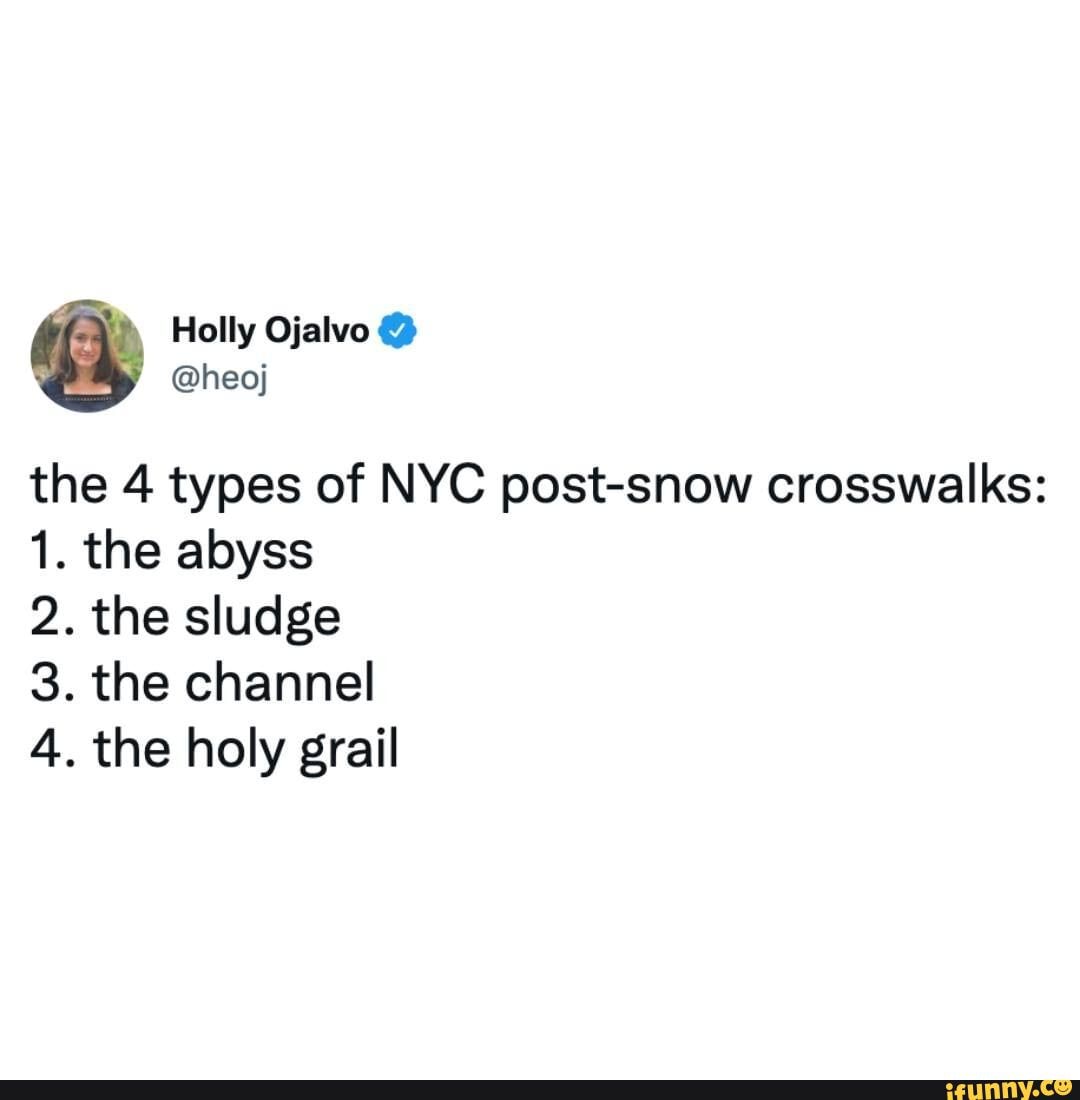 The 4 types of NYC post-snow crosswalks: 1. the abyss Holly Ojalvo ...