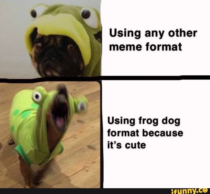 Using any other meme format Using frog dog format because it's cute ...