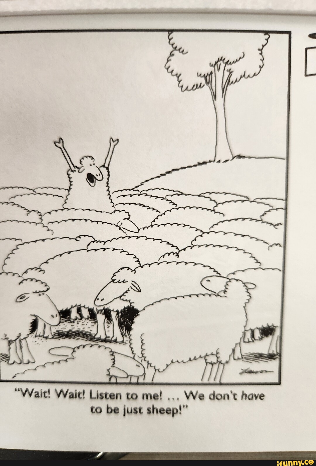 "Wait! Wait! Listen to me! We don't have to be just sheep!" - iFunny