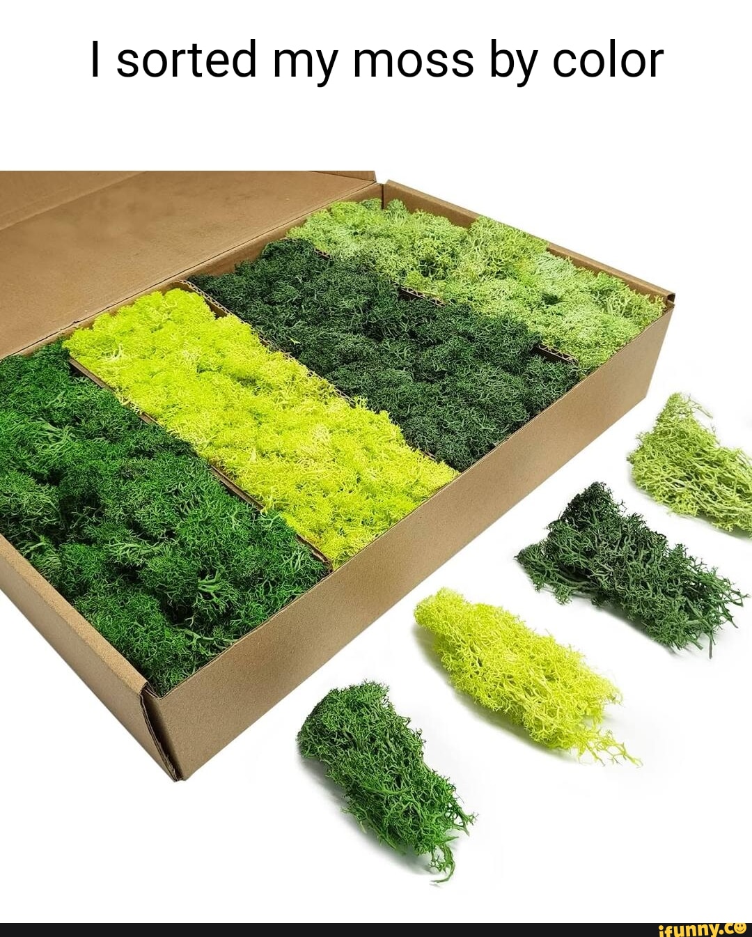 Picture memes 37EySbN1B by Grimm_Exodus: 1 comment - iFunny