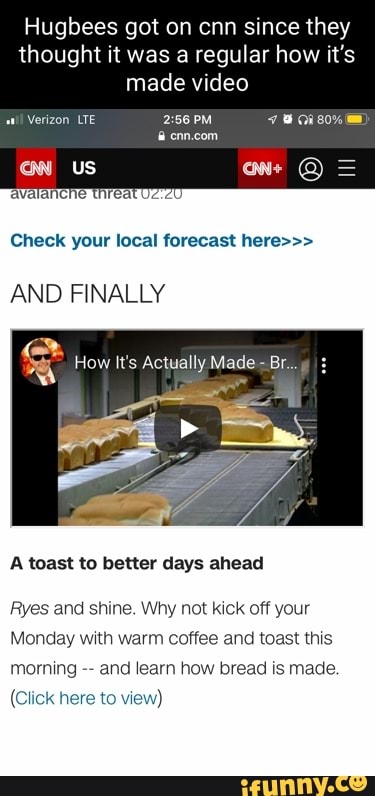 Hugbees memes. Best Collection of funny Hugbees pictures on iFunny