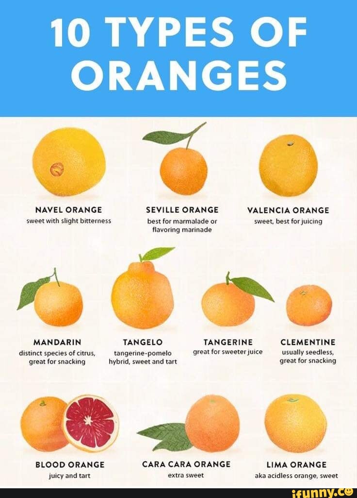 10 TYPES OF ORANGES NAVEL ORANGE SEVILLE ORANGE VALENCIA ORANGE sweet ...
