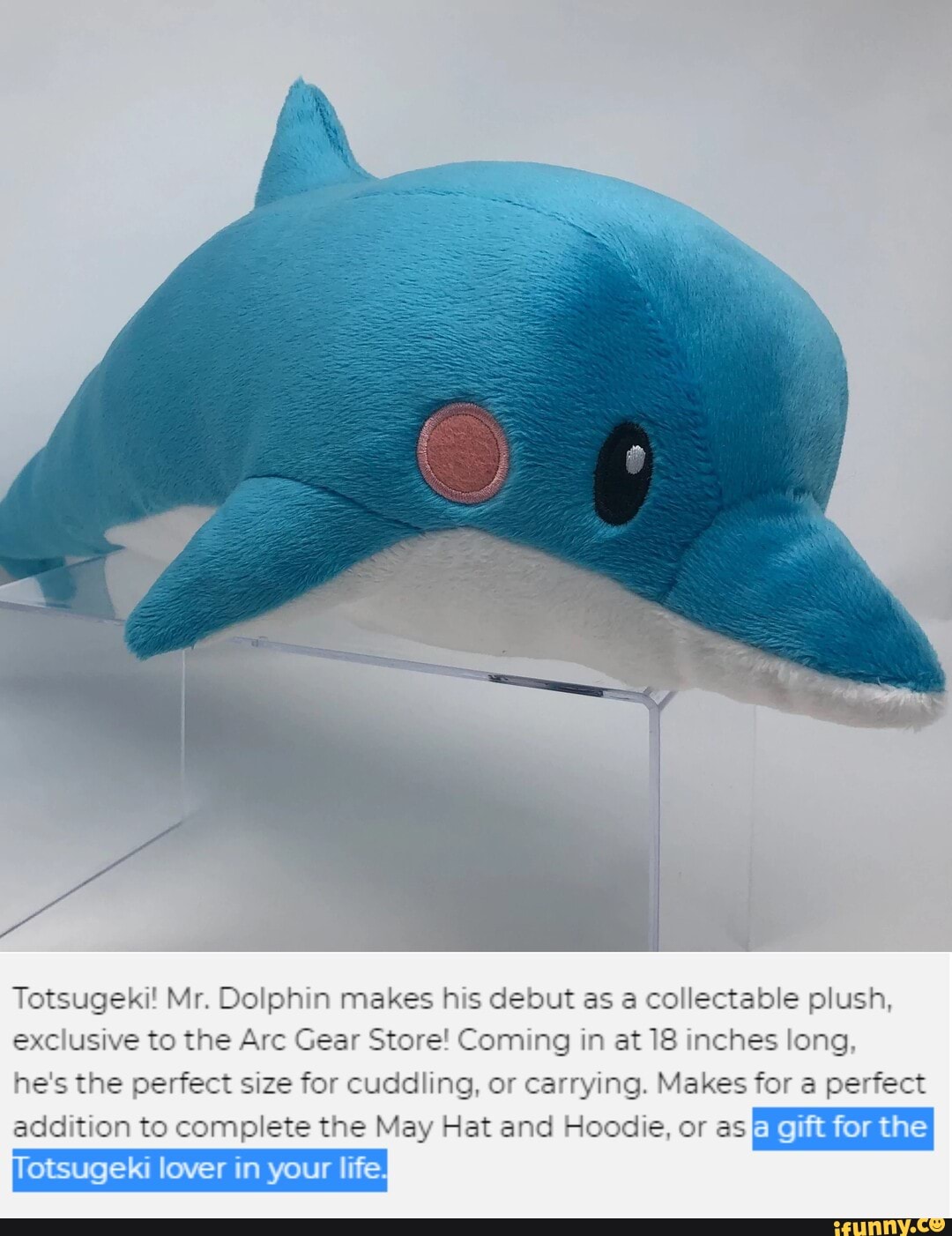 Totsugeki! Mr. Dolphin makes his debut as a collectable plush ...