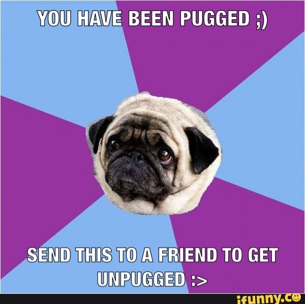 Puggo memes. Best Collection of funny Puggo pictures on iFunny