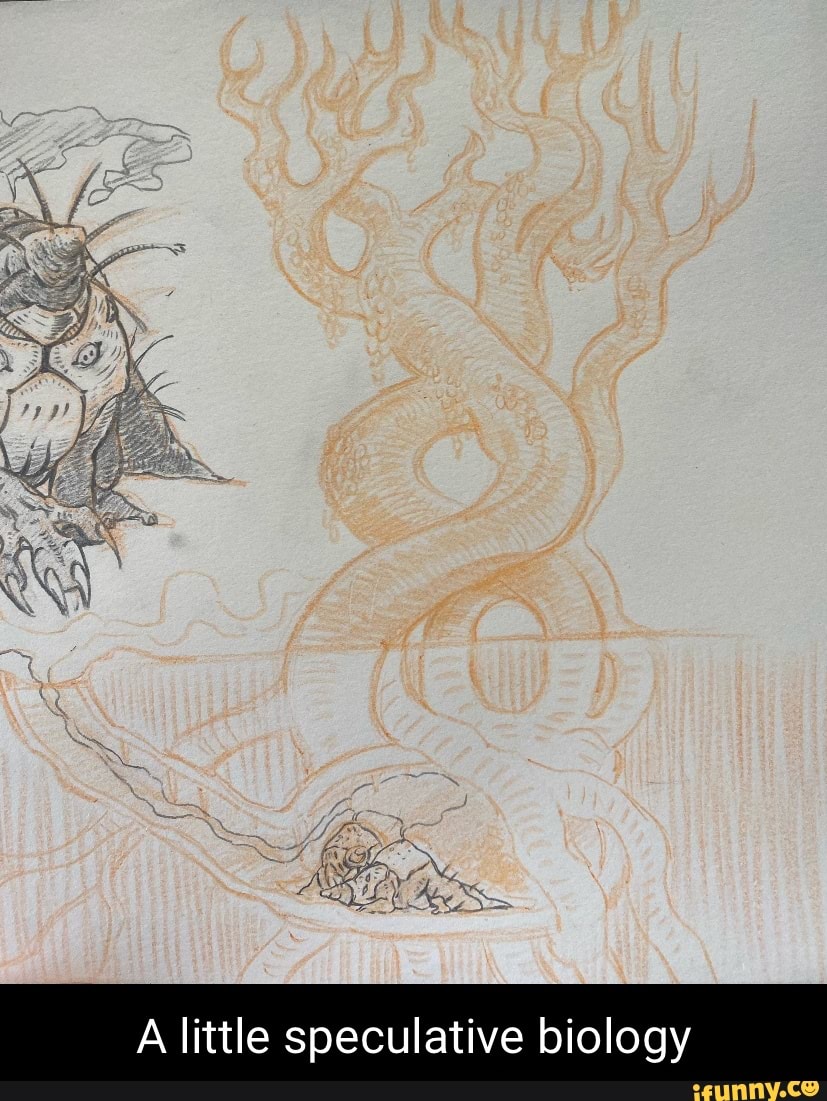 Speculative memes. Best Collection of funny Speculative pictures on iFunny