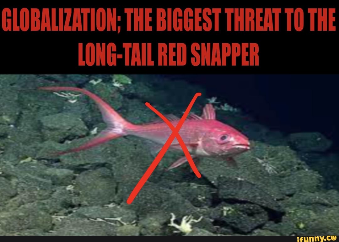 GLOBALIZATION; THE BIGGEST THREAT THE LONG-TAIL RED SNAPPER - iFunny