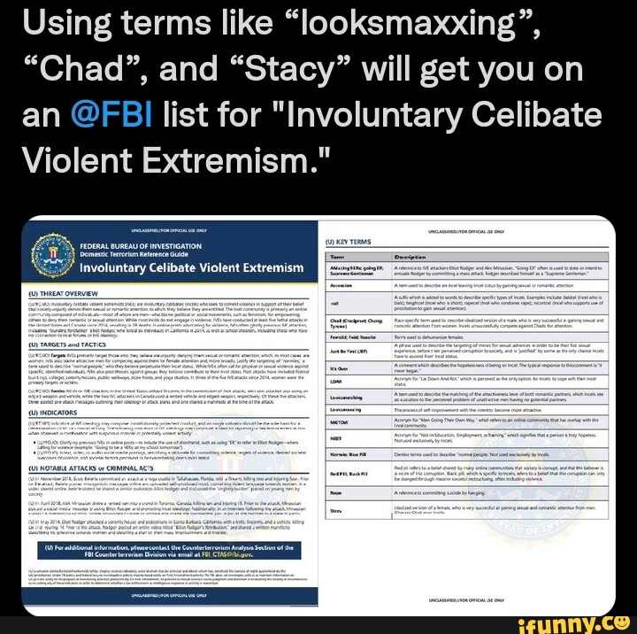 Using terms like "looksmaxxing", "Chad", and "Stacy" will get you on an ...