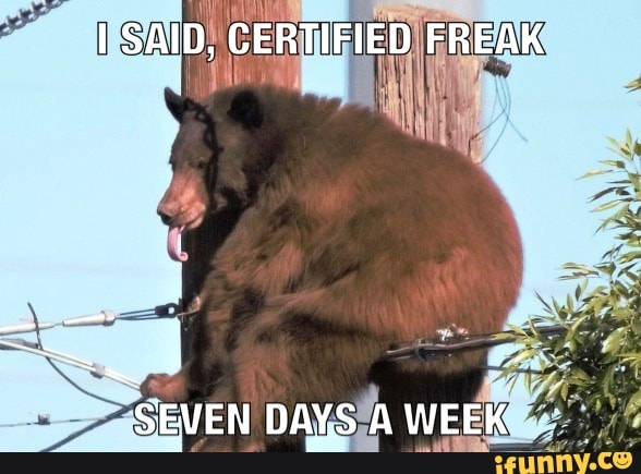 Fightmemes memes. Best Collection of funny Fightmemes pictures on iFunny