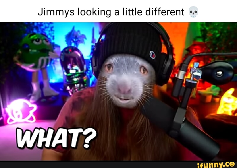 Jimmyhere memes. Best Collection of funny Jimmyhere pictures on iFunny