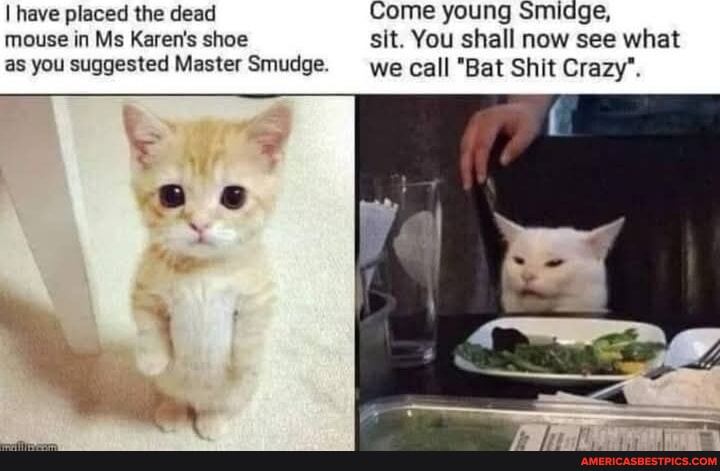 Crazy memes memes. The best memes on America’s best pics and videos