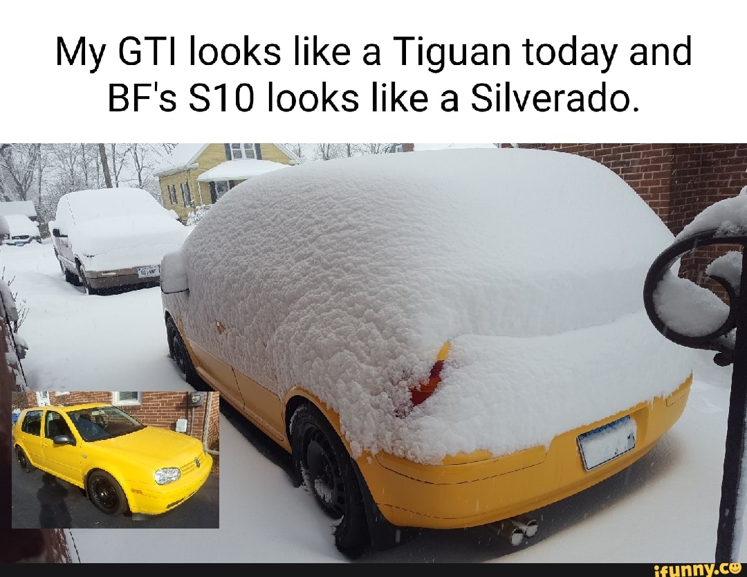Tiguan memes. Best Collection of funny Tiguan pictures on iFunny