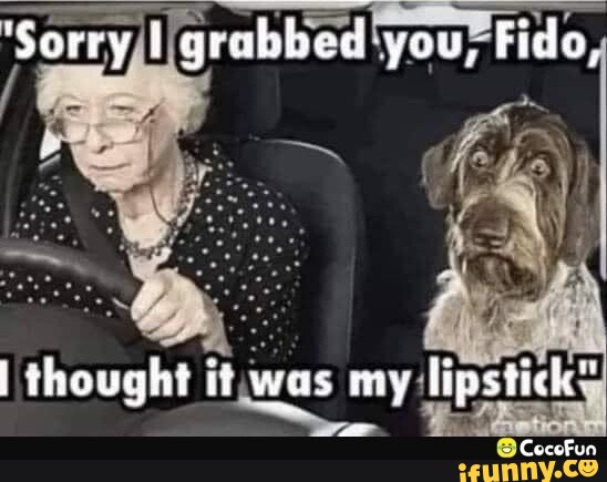 Fido memes. Best Collection of funny Fido pictures on iFunny