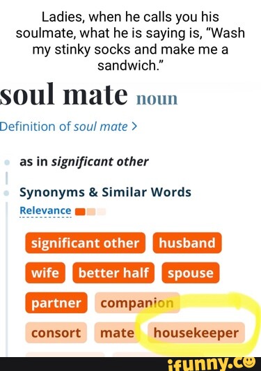 Ladies, when he calls you his soulmate, what he is saying is, "Wash my ...