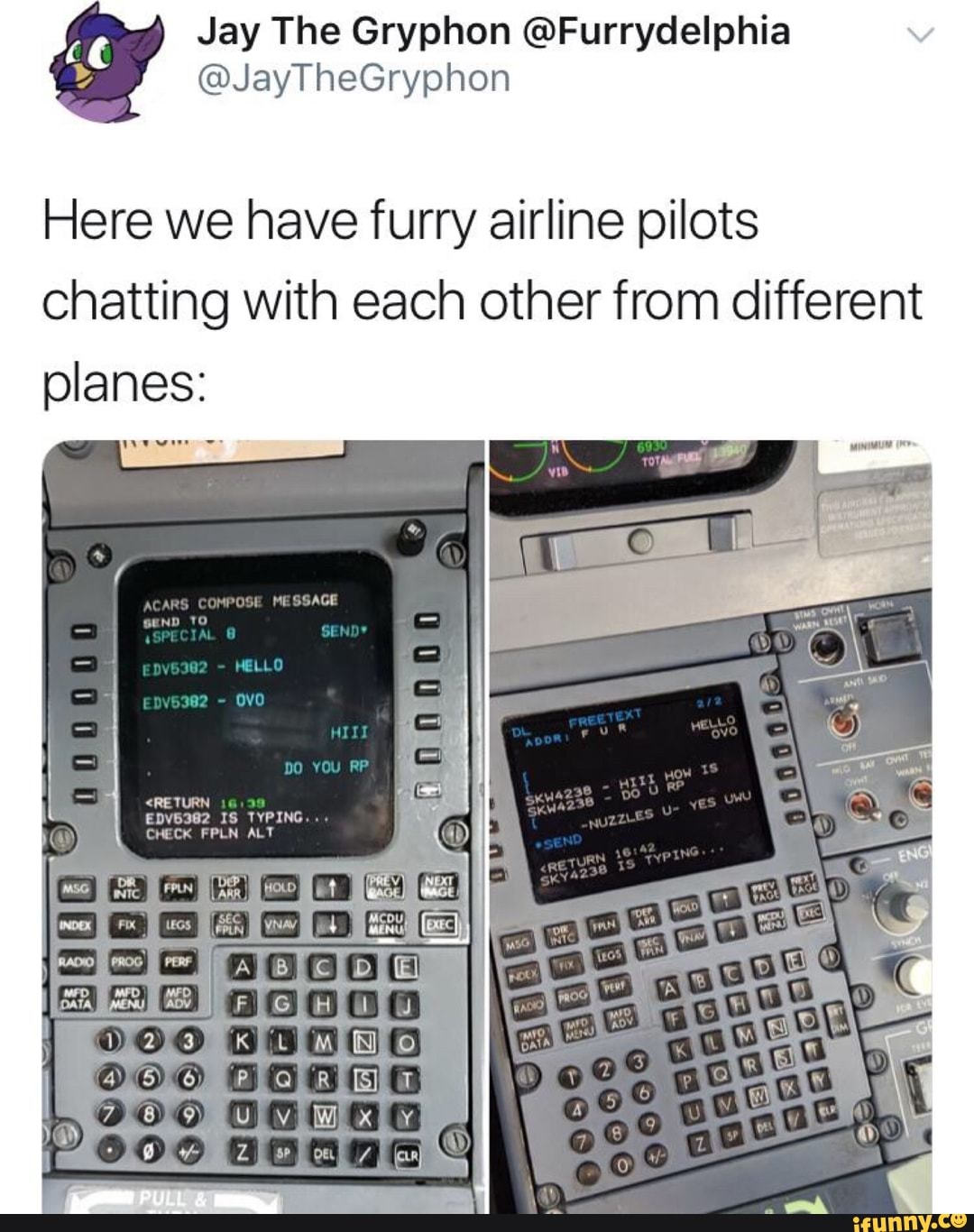 Jay The Gryphon @Furrydelphia @JayTheGryphon Here we have furry airline ...