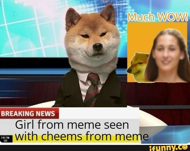 Much BREAKING NEWS Girl from meme seen wa with cheems from meme - iFunny