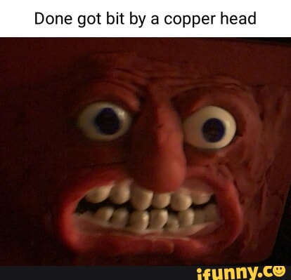 Copper memes. Best Collection of funny Copper pictures on iFunny