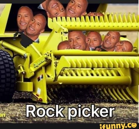Rock picker - iFunny