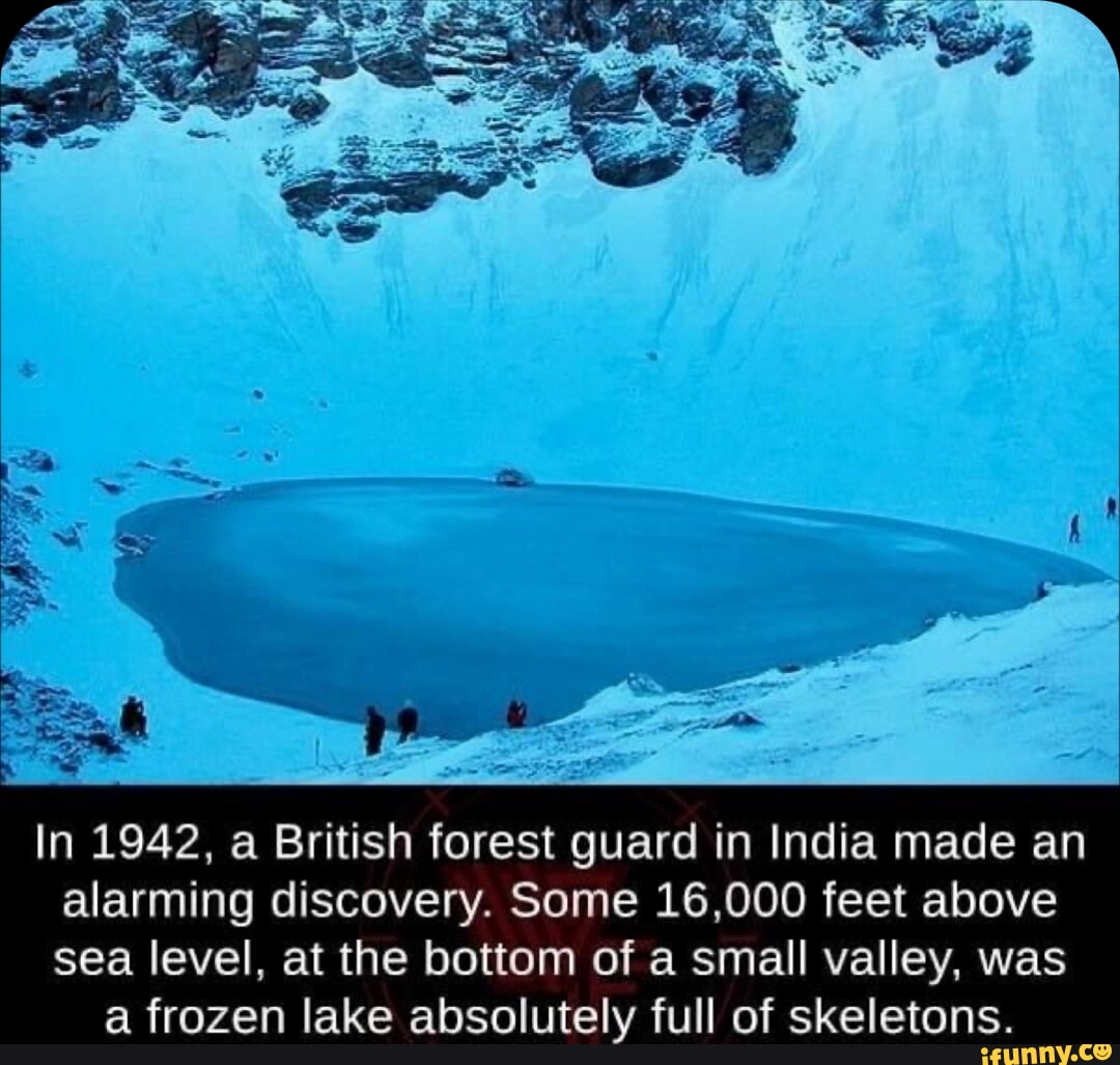 In 1942, a British forest guard in India made an alarming discovery ...