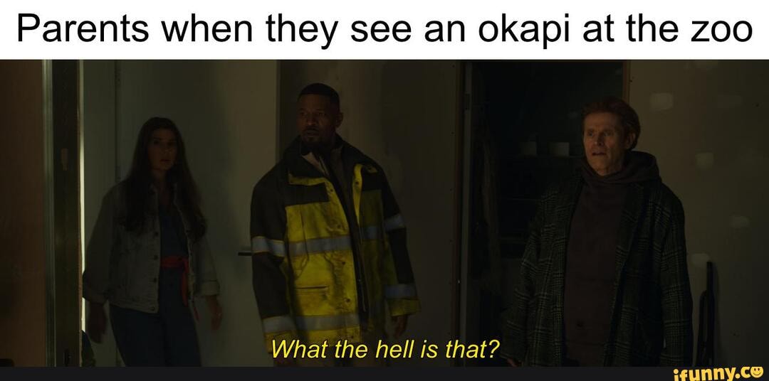 Okapi memes. Best Collection of funny Okapi pictures on iFunny