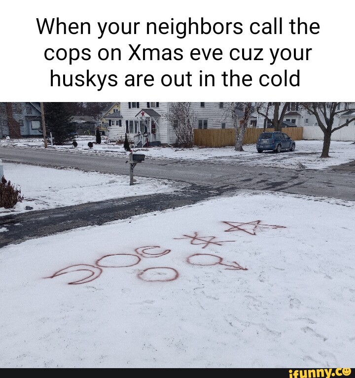 When your neighbors call the cops on Xmas eve cuz your huskys are out ...